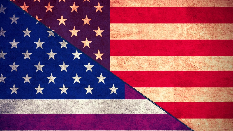 Partisanship in American Politics - Hertog Foundation